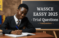 How to Write a Perfect WAEC Narrative Essay